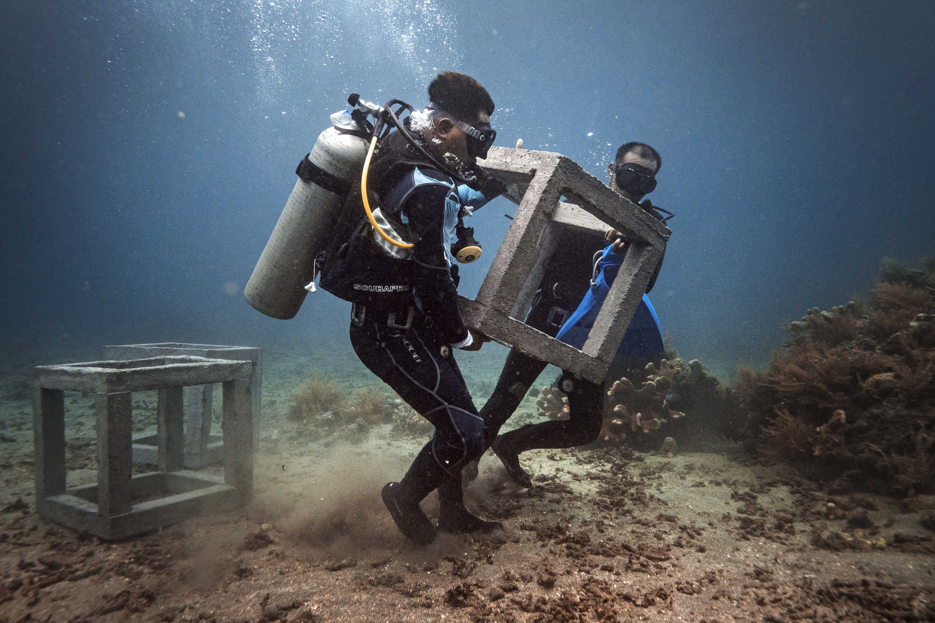 Reef restoration, East Bali | Coral Reef Care